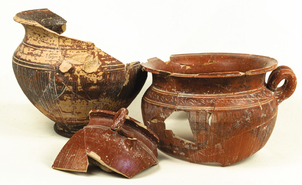 The Rise of the Maccabees - The BAS Library